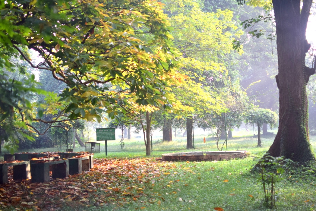 Introduction to Silvicultural Systems - Forestry Coaching-IFoS ACF AFO ...