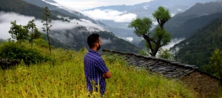 Home - Forestry Notes