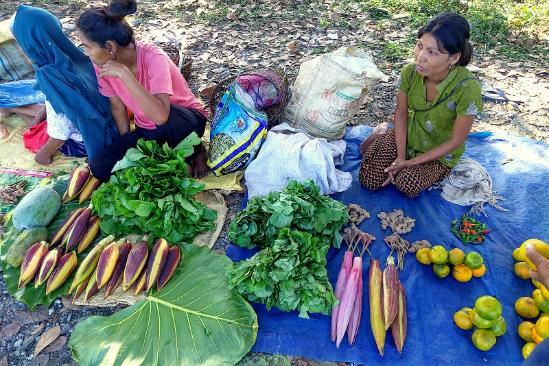 Role of Tribals in Forest protection, development & conservation ...