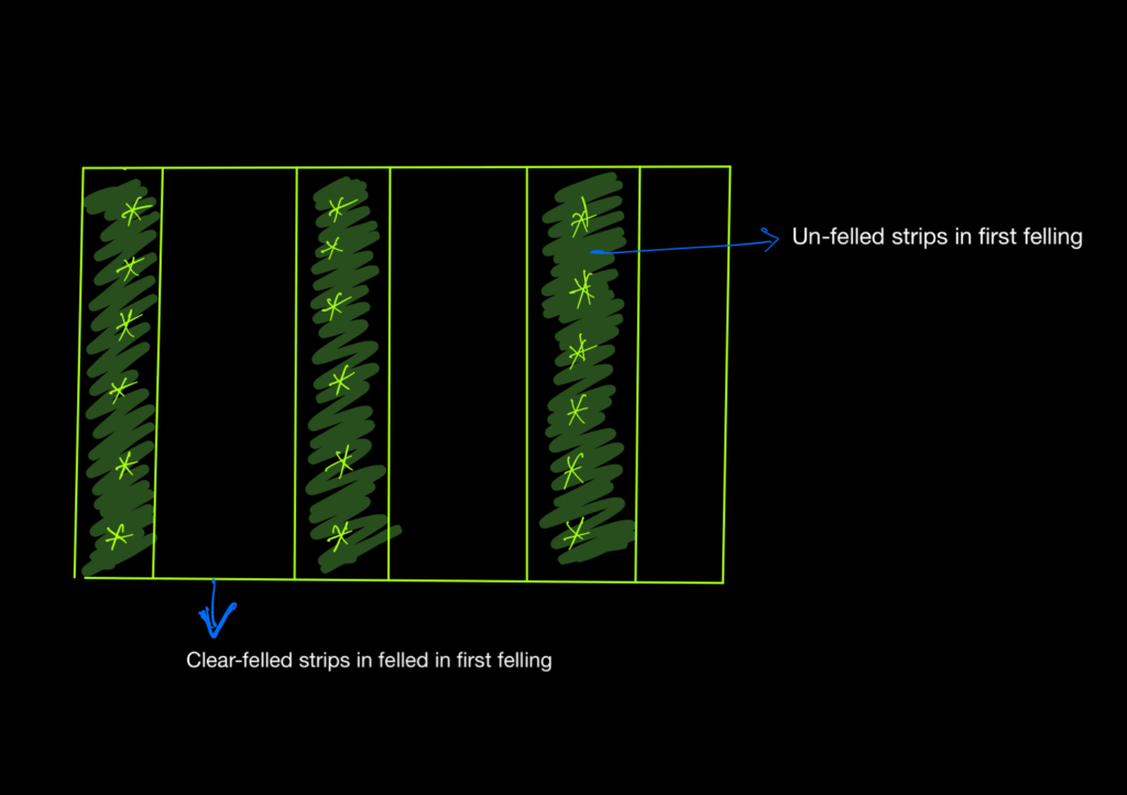 Clear and Alternate Strip Felling Systems in SIlviculture - Forestry ...