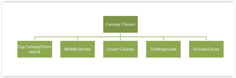 Introduction to Silvicultural Systems - Forestry Coaching-IFoS ACF AFO ...